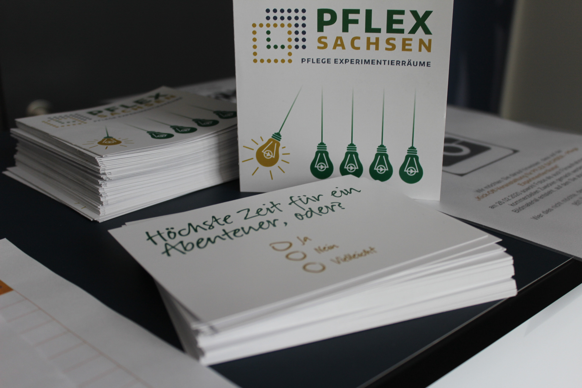 PFLEX SACHSEN